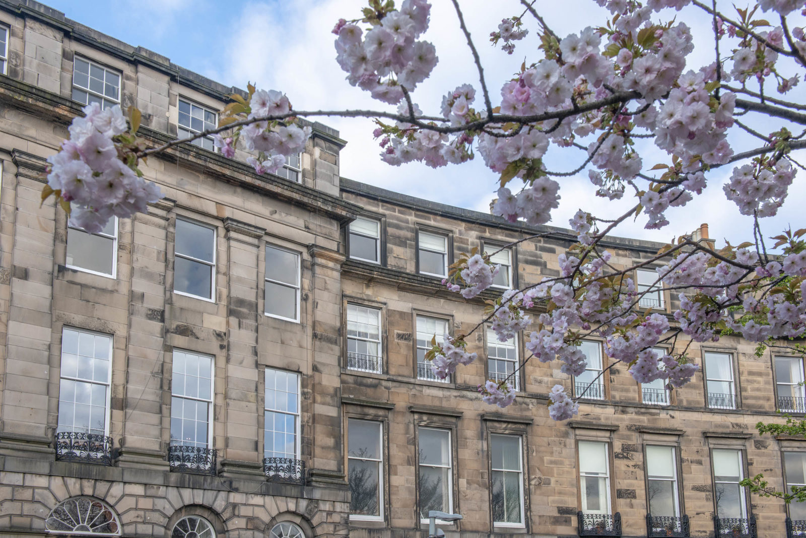 8 Wellness Inspired Things To Do In Edinburgh • traveltowellbeing.com