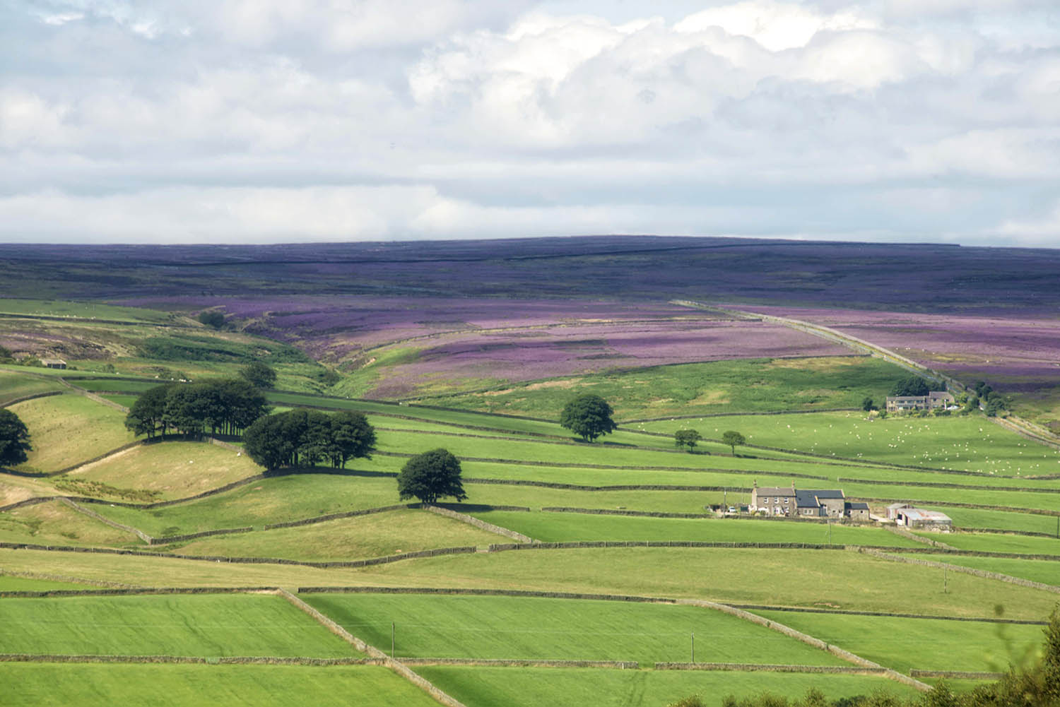 7 Wellness Inspired Things to Do in York, England • traveltowellbeing.com