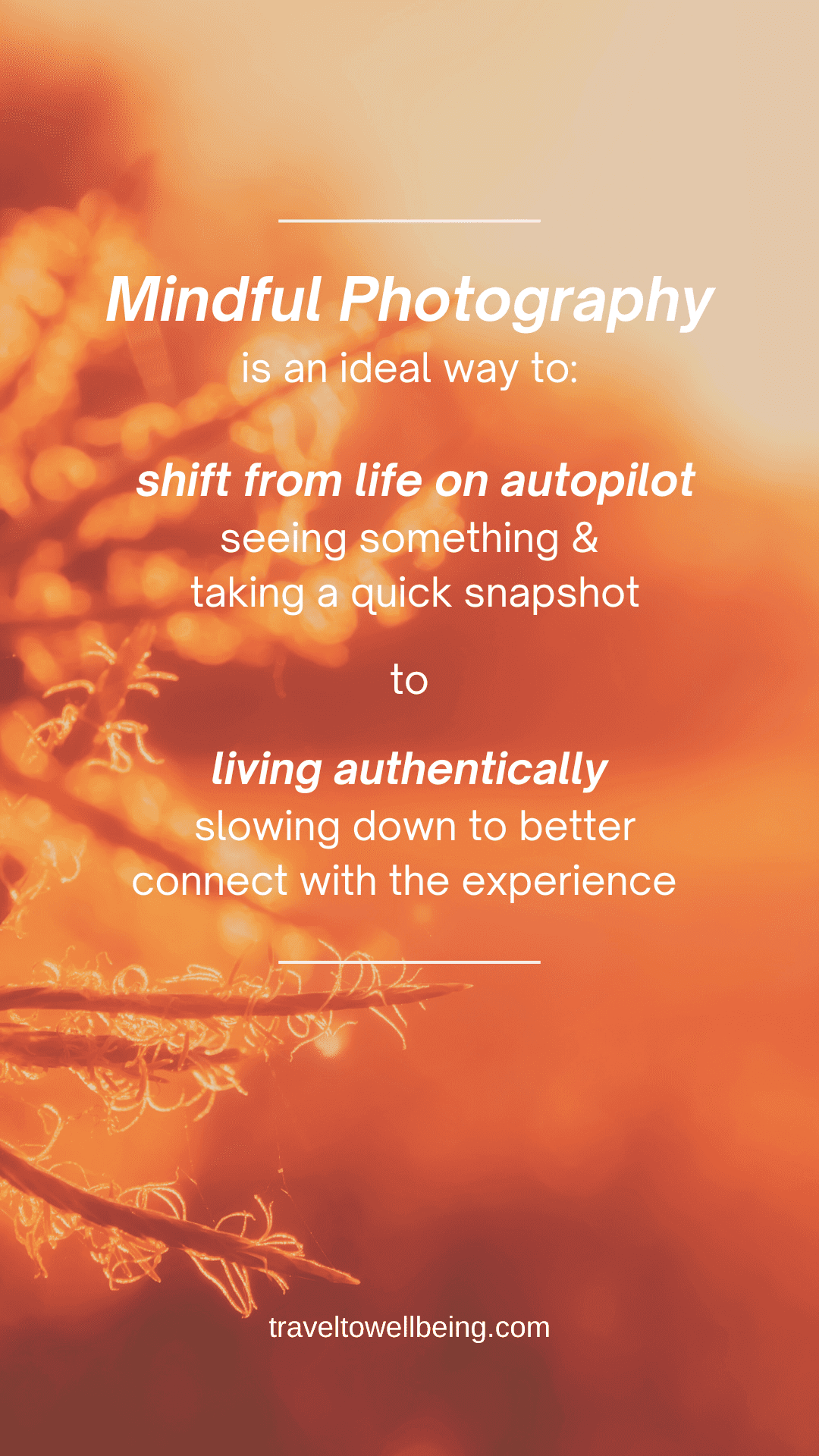 Embracing The Magic of Autumn with Mindful Photography ...